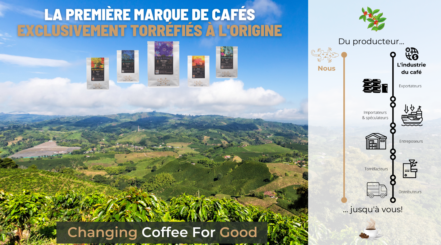 Alternative Café - Les meilleurs cafés torréfiés du monde